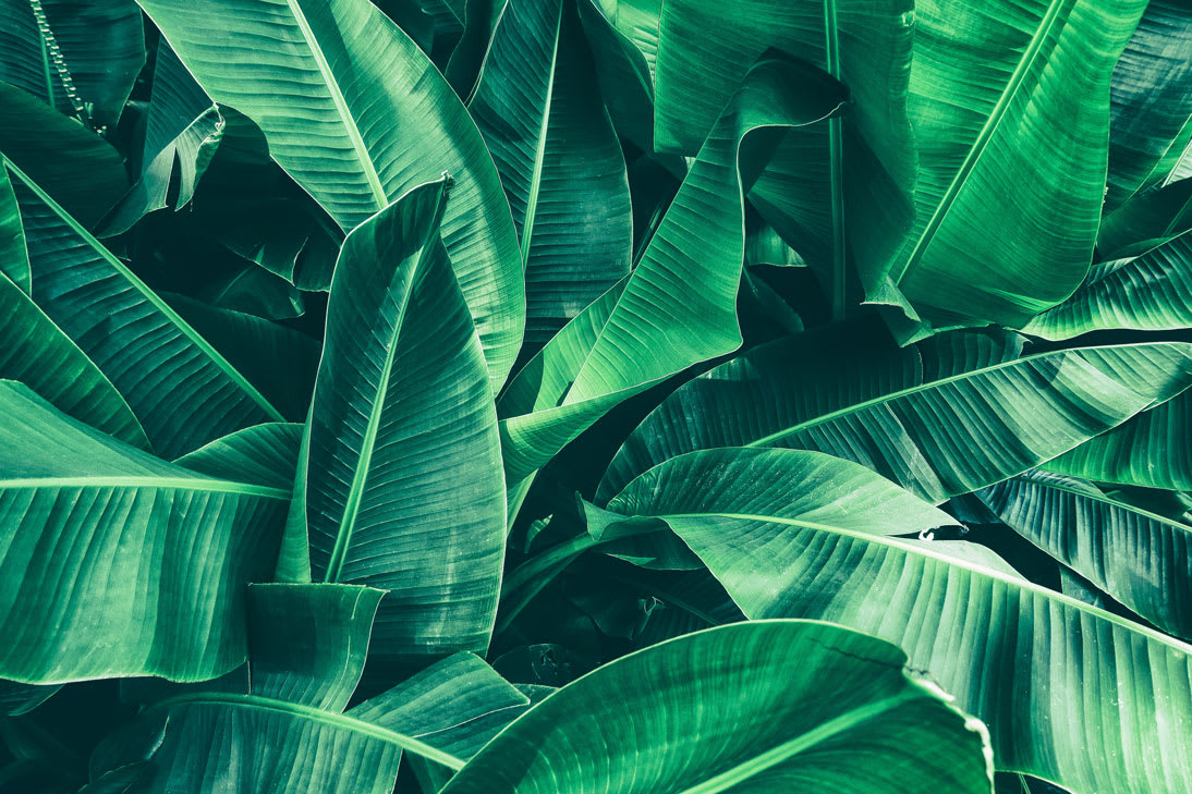 ESG Certifications | Digital Realty ESG Certifications | Digital Realty